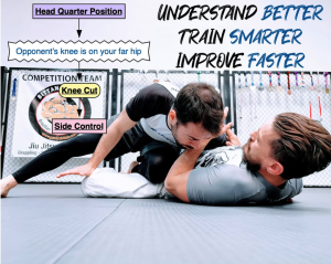 The Best BJJ Flow Charts Review | Brazilian Jiu-Jitsu World